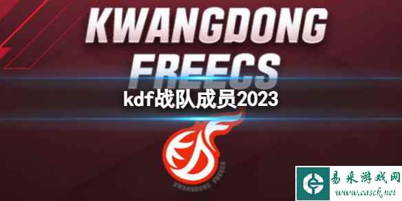 《英雄联盟》kdf战队成员名单一览-易采游戏网